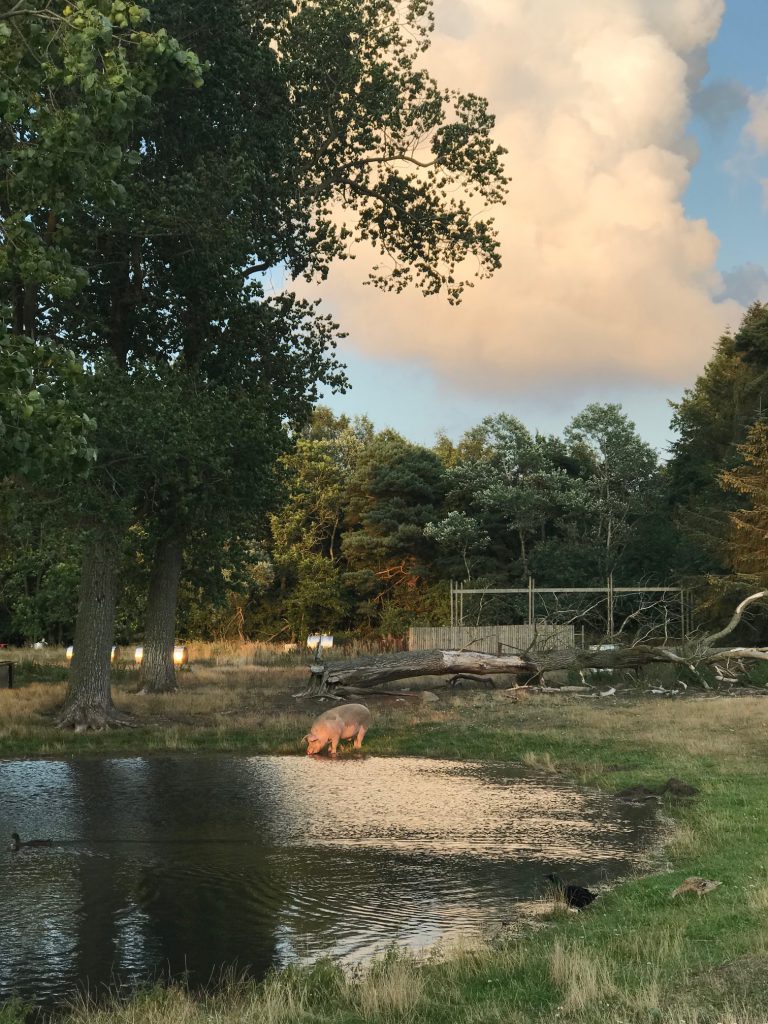 Muhu saar on Eesti Bornholm | Eesti Maitsed